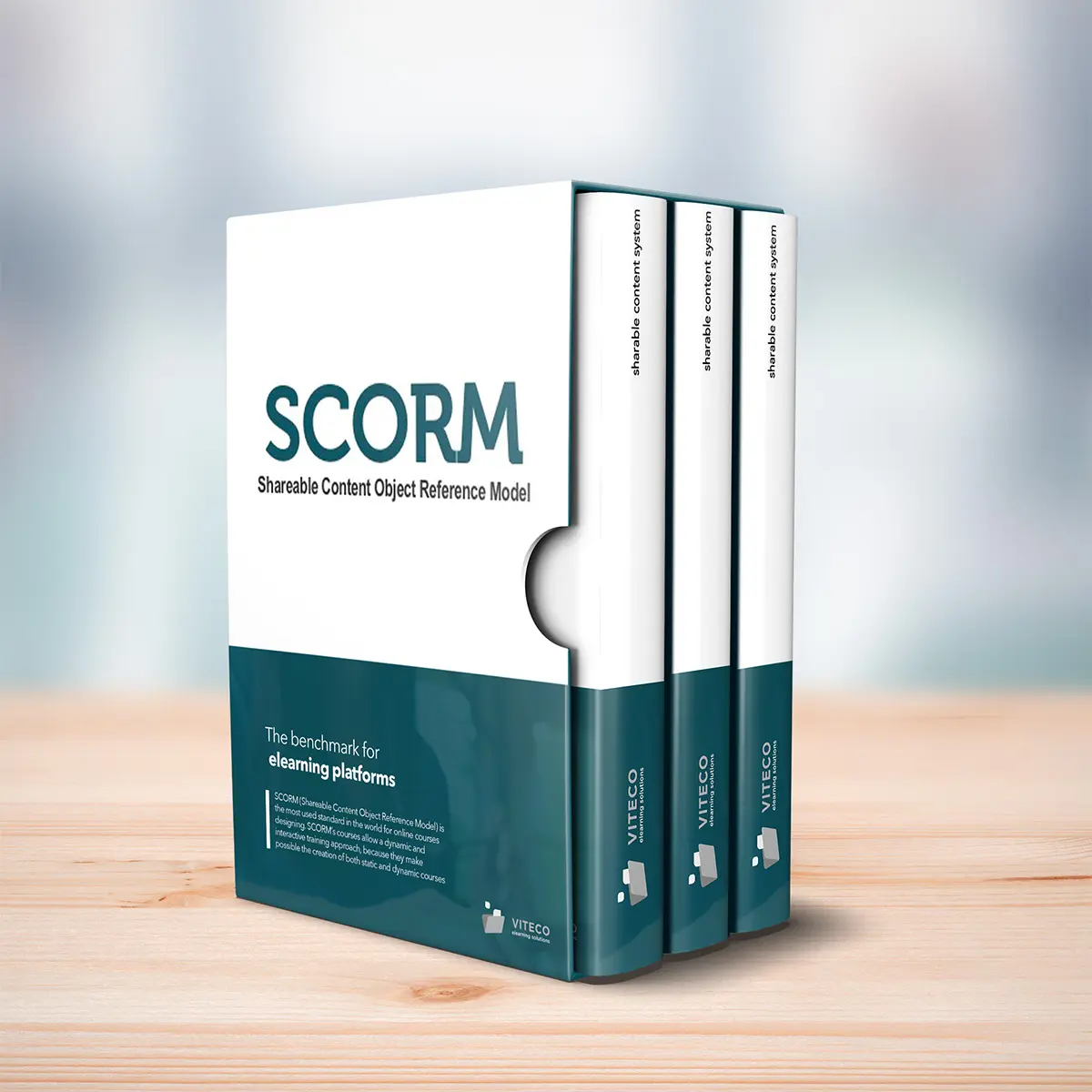 Expert in the Conversion of Courses into SCORM Format